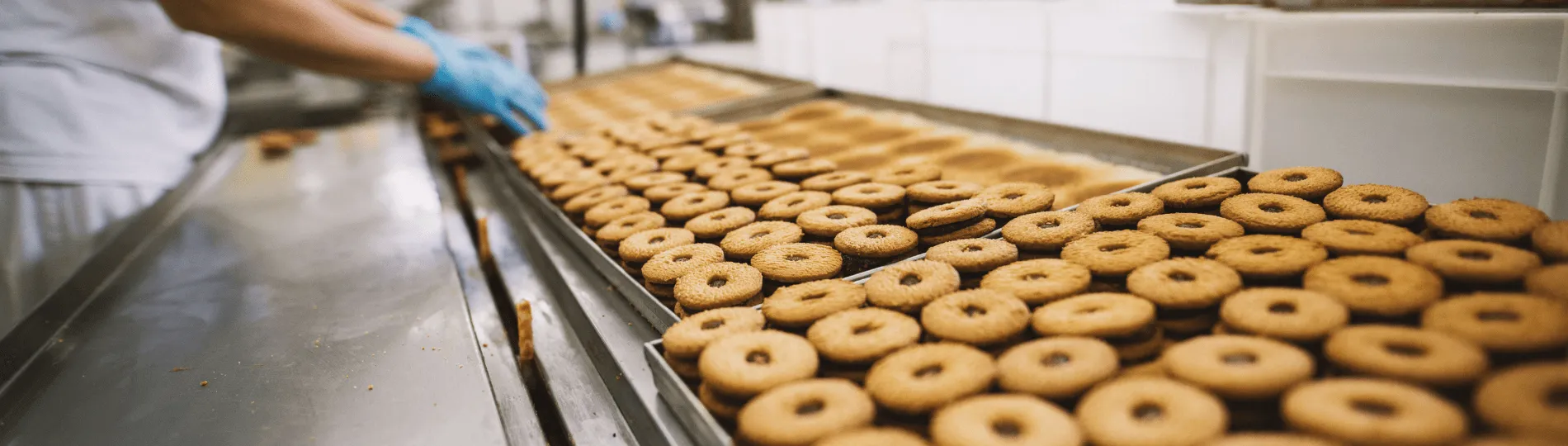 Jobs Transformation Map | Food Manufacturing Sector